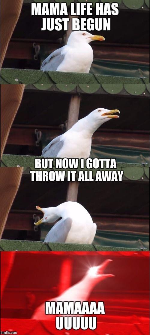 国外有哪些不为国人所熟悉却流传很广的meme？ - 知乎