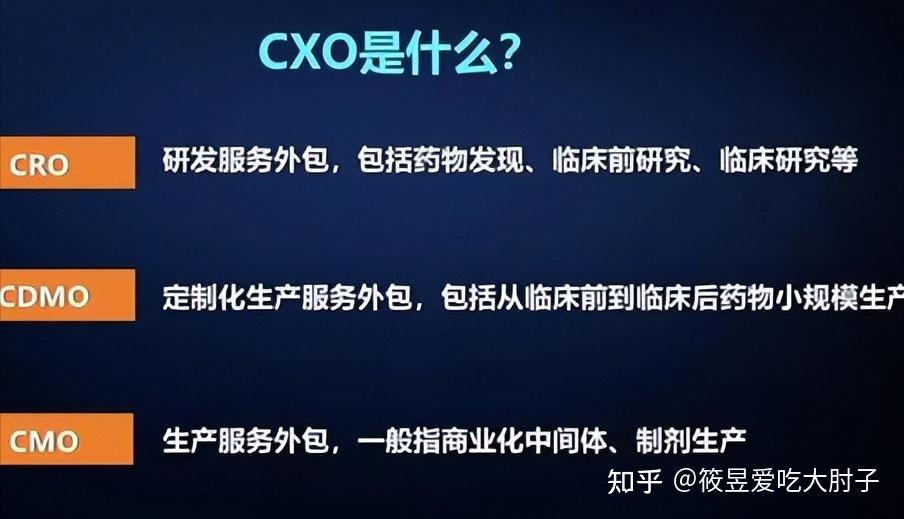 中国股市：CXO概念横空出世，这些龙头股值得关注！（建议收藏） - 知乎