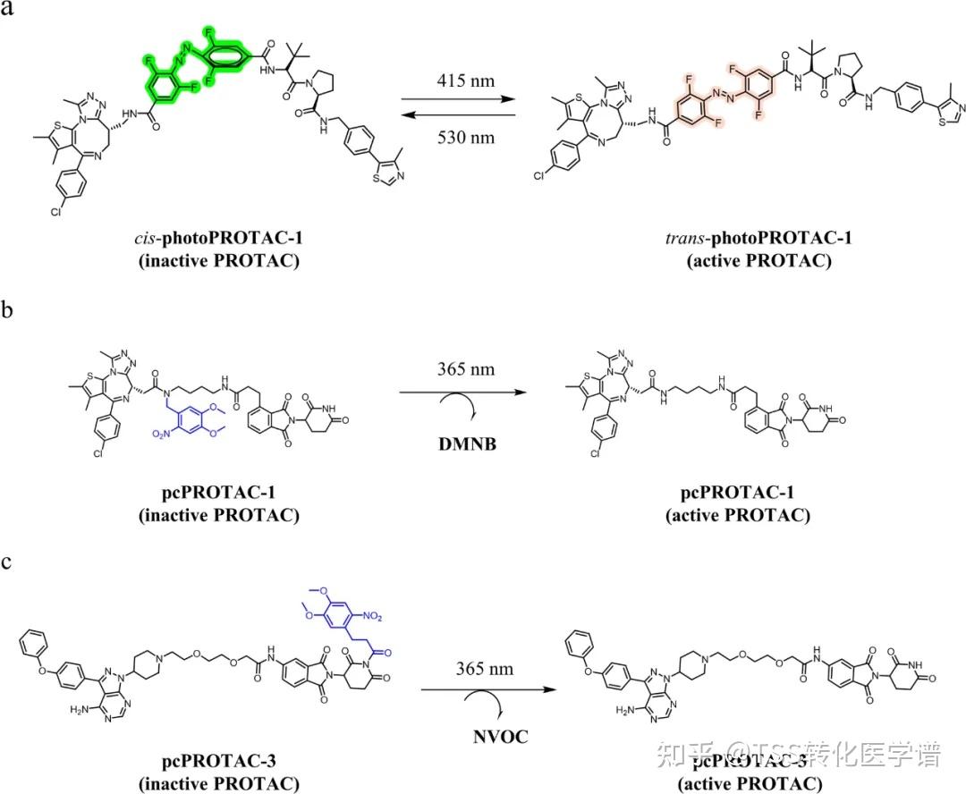 【Molecular Biomedicine】PROTAC技术特点、高效PROTAC设计的一般原理、及面临的挑战和局限 - 知乎
