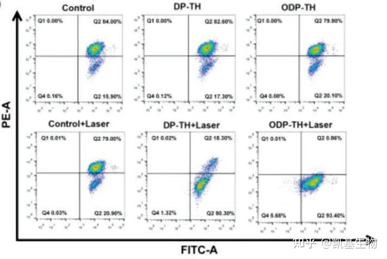 一文带你掌握线粒体膜电位检测试剂盒（JC-1，JC-10） - 知乎