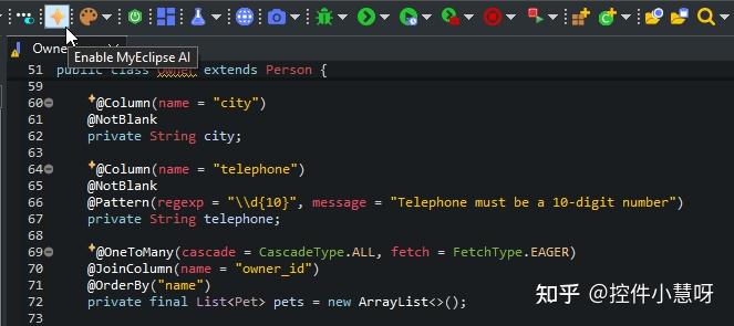 企业级Java开发工具MyEclipse v2025.1——支持AI编码辅助 - 知乎