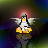 Linux ioctl及ioctl command - 知乎