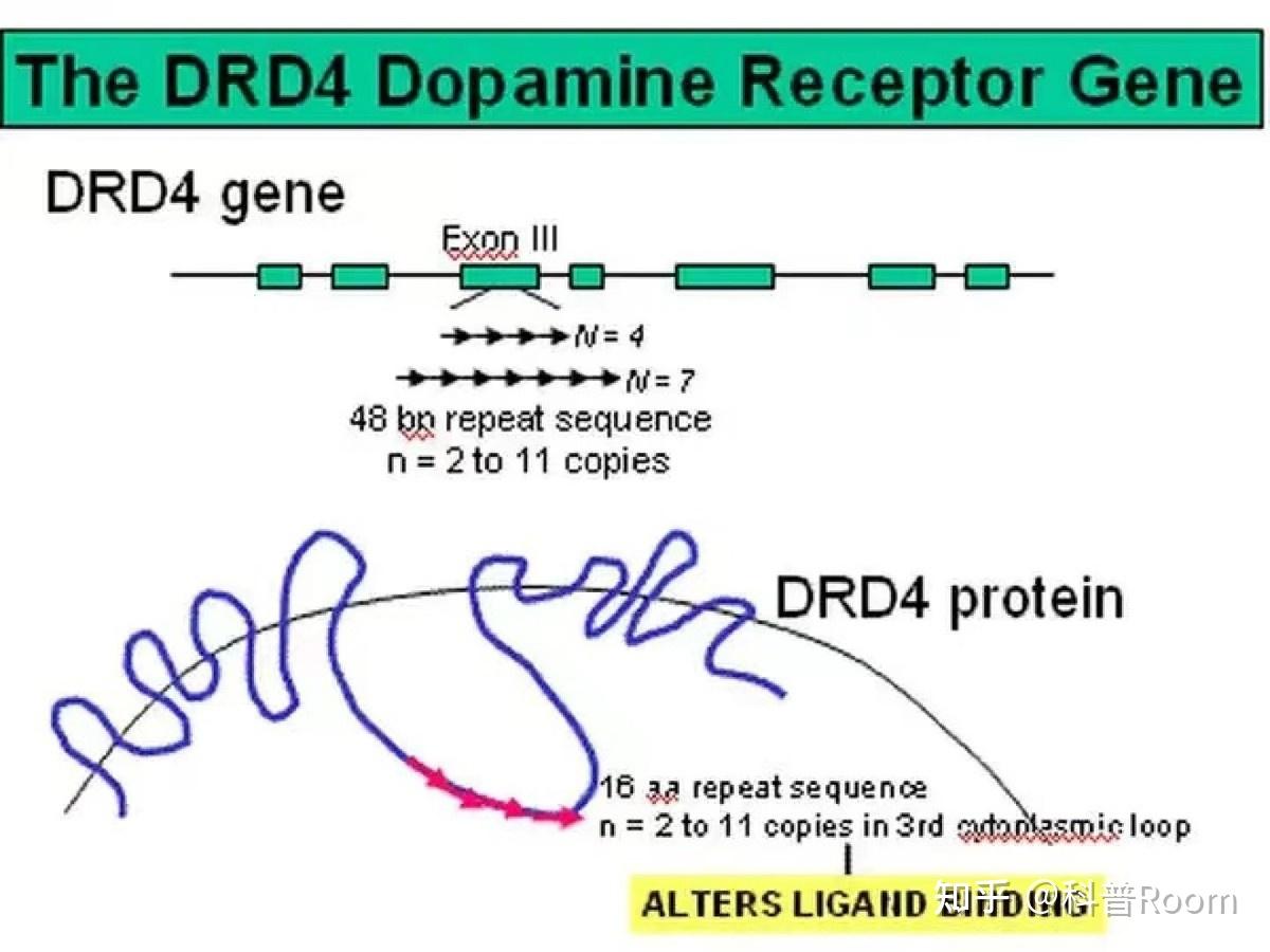 基因使人们“出轨”？欲望成罪魁祸首！人类却对此如痴如醉 - 知乎