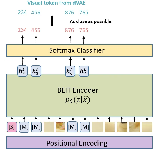 【论文精读】BEIT：Pre-Training of Image Transformer - 知乎