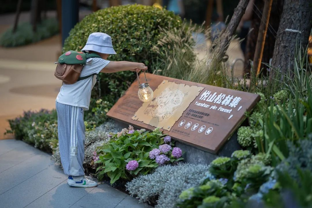 误入松鼠之家的奇趣之旅 达尔文营地之悦山松林集 知乎
