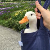 一些PCIE知识整理——PCIe架构下memory、IO、PCIe配置空间简介 - 知乎