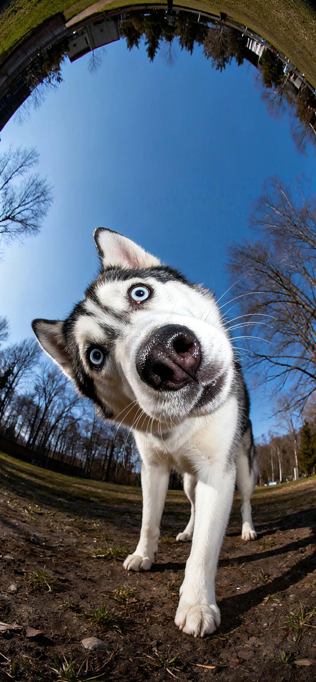 4K超清 ios26手机锁屏壁纸 - 知乎