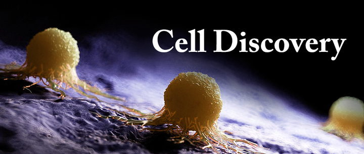 Cell Discov | 上海交大范先群团队空间蛋白组揭示结膜黑色素瘤肿瘤微环境 - 知乎