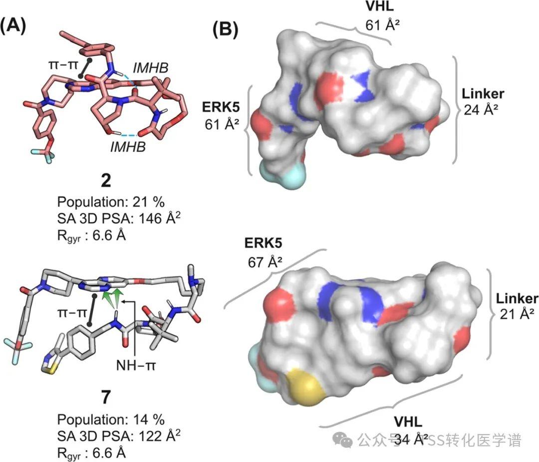 【JMC】 VHL-PROTAC 连接子对细胞通透性的构效探究 - 知乎
