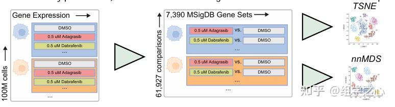 Tahoe-100M：现最大的1亿规模癌症单细胞转录组-药物治疗/扰动数据集 - 知乎