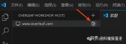 vscode 配置Overleaf环境 实时编译latex - 知乎