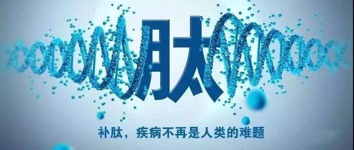 肽的作用原理是什么?为什么要补充肽? 知乎
