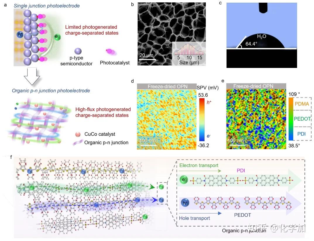 浙大单冰Angew：有机p-n结光电极实现86%内量子效率光电催化合成氨 - 知乎