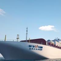 ACPR50S海洋核动力平台 - 知乎