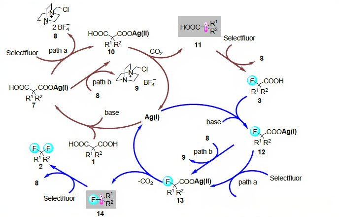 【邻/偕二卤化合物的合成：脱羧溴代：脱羧氟代】Selectfluor的实用反应总结(二) - 知乎