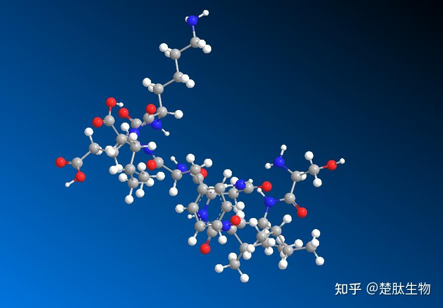 OVA257-264（SIINFEKL）；OVA Peptide (257-264) ；卵清白蛋白多肽(257-264)；138831-86 ...