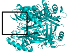 MAT2A靶点临床在研抑制剂开发进展 - 知乎