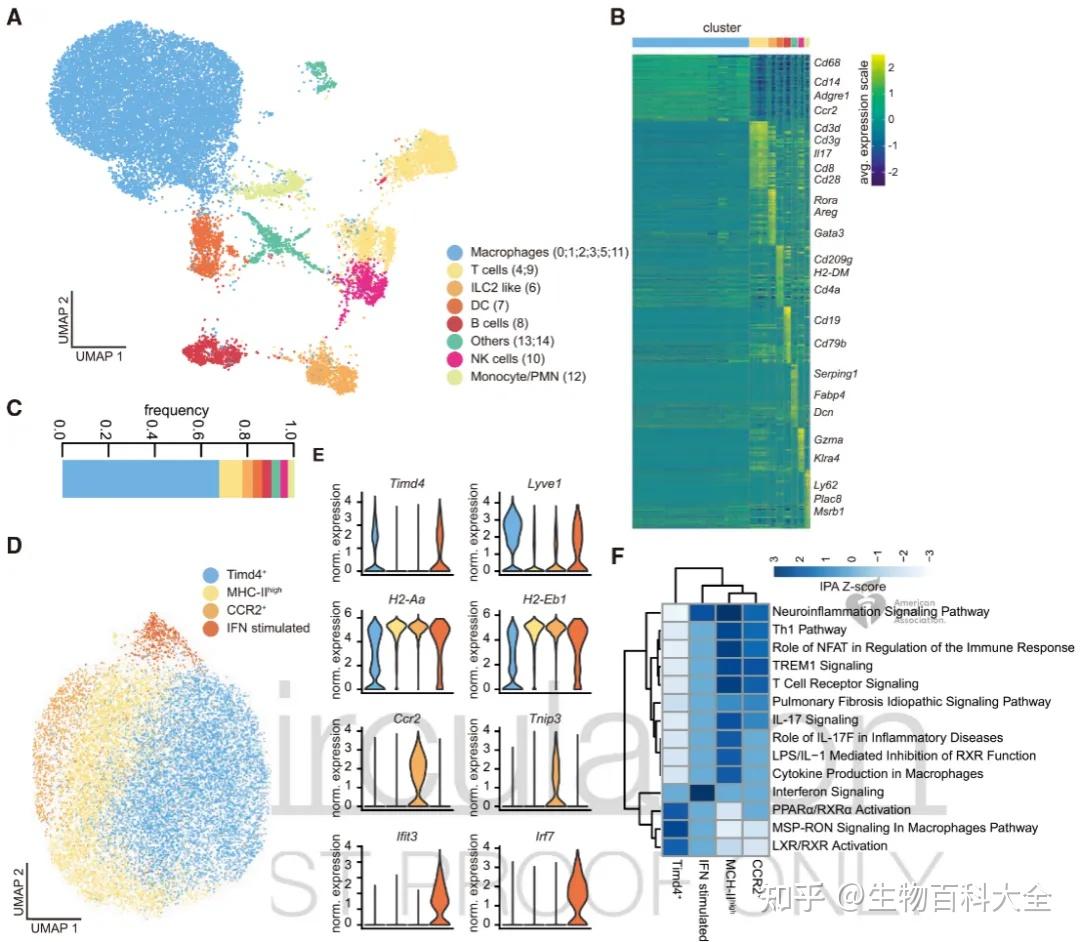 文献解读|单细胞RNA测序揭示血脂异常诱导的舒张功能障碍模型中心脏巨噬细胞代谢应激依赖性激活 - 知乎