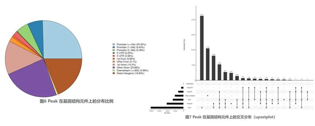 各种组学分析之：Chip-seq (一) - 知乎