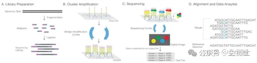 实验技术（十四）：一文溯源四代基因测序技术 - 知乎