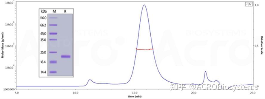 从源头狙击IgA肾病！APRIL抑制剂临床新突破 - 知乎