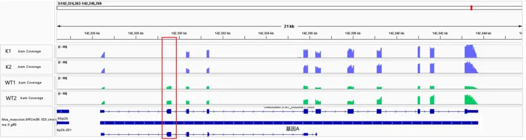 干货 | RNA-seq与qPCR，你不得不知道的那些事！！！ - 知乎