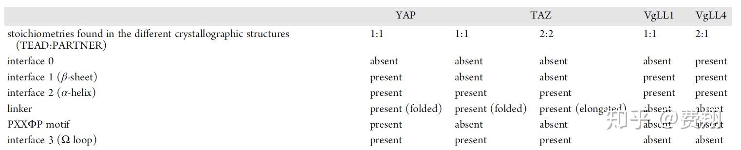 【JMC】TEAD靶点综述 - 知乎