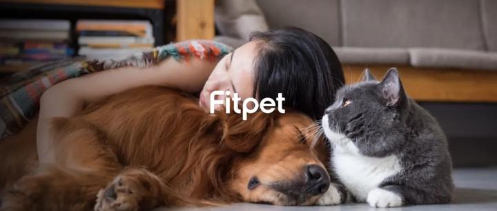 宠物碗推荐｜韩国Fitpet x MUJAGI - 知乎