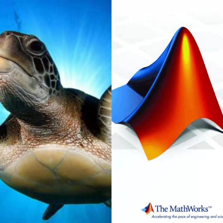 爱的初体验之-尝试MATLAB自带SVN（上） - 知乎