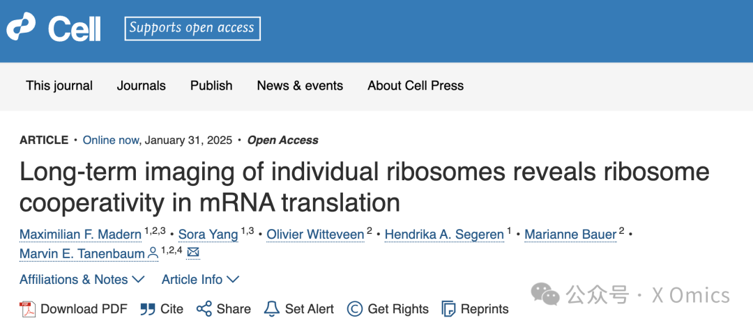 Cell｜乌得勒支大学团队揭示核糖体在 mRNA 翻译中的协同作用 - 知乎