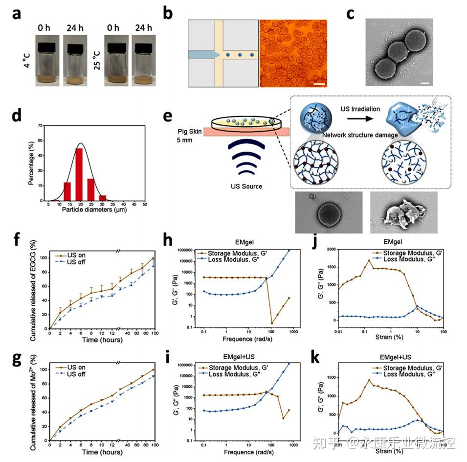 南方医科大学王平/广东省科学院生物与医学工程研究所曾志文：可注射水凝胶微球“炸弹”治疗MRSA感染的慢性骨髓炎 - 知乎