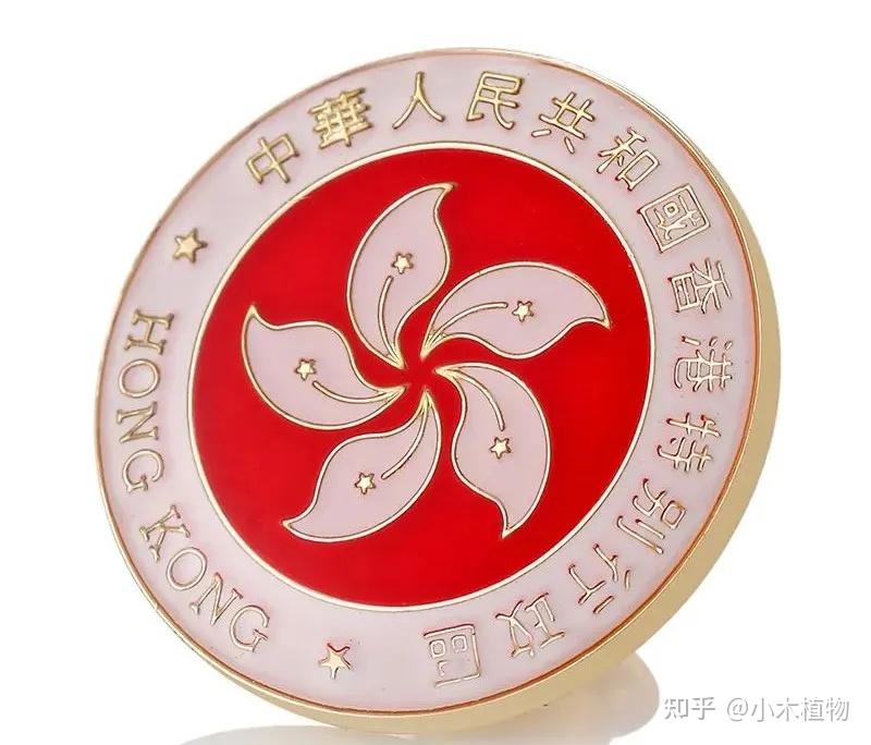 香港回归27周年，重温香港特别行政区区花——紫荆花 - 知乎