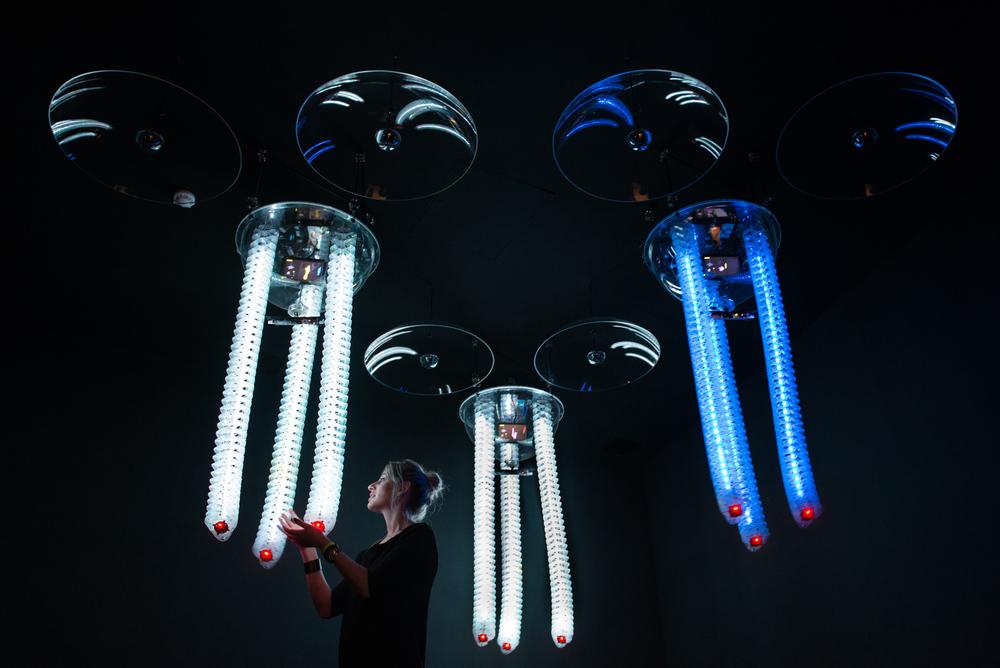 有哪些利用 processing 创作出来的优秀作品？ - 知乎