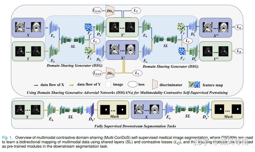 IEEE Transactions on Medical Imaging(TMI)论文推荐：2024年01月(1) - 知乎