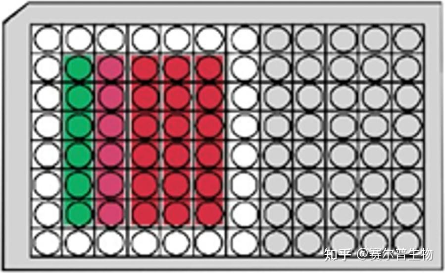 CCK-8检测细胞增殖/毒性实验全流程（包含实验设计和计算公式） - 知乎