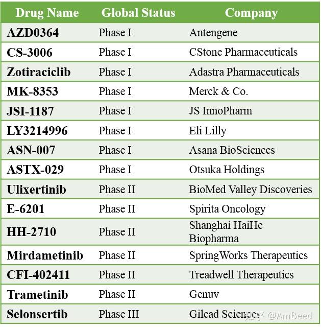 【AmBeed解读】ERK的作用机制及相关抑制剂 - 知乎