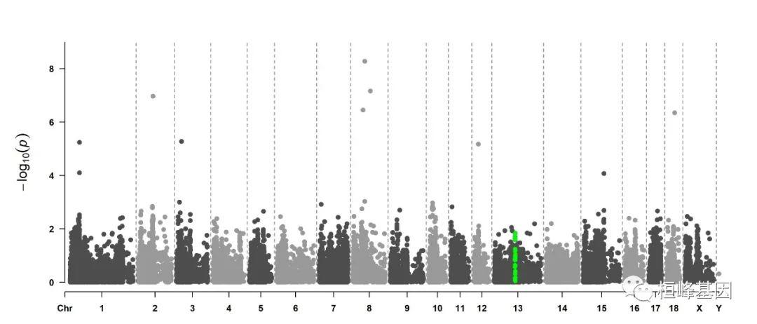 DNA 12. SCI 文章绘图之全基因组关联分析可视化(GWAS) - 知乎