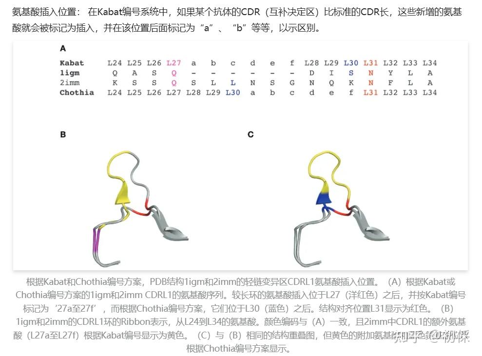 抗体编码系统:Kabat, Chothia,IMGT - 知乎
