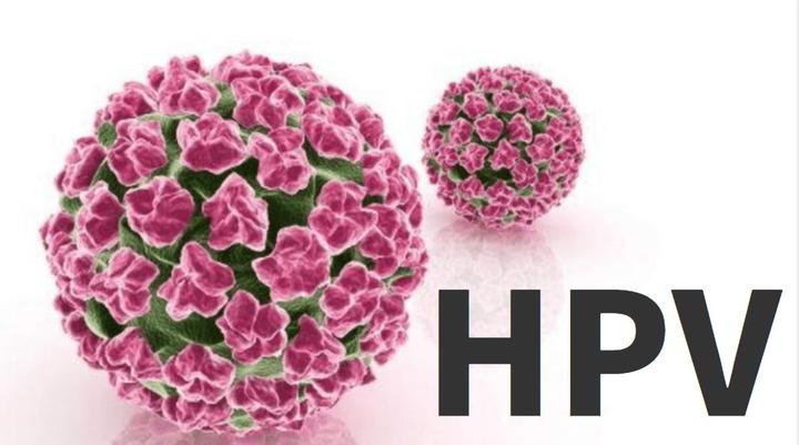 HPV18高危对女性危害大吗，一看便知 - 知乎