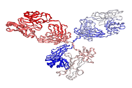 Syd Labs重组抗小鼠PD-1大鼠IgG2a Kappa单克隆抗体(克隆号RMP1-14.1) - 知乎
