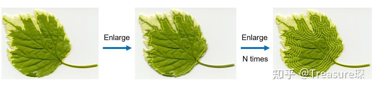 ImageJ实用教程——Selection与ROI操作(基本功能篇) - 知乎