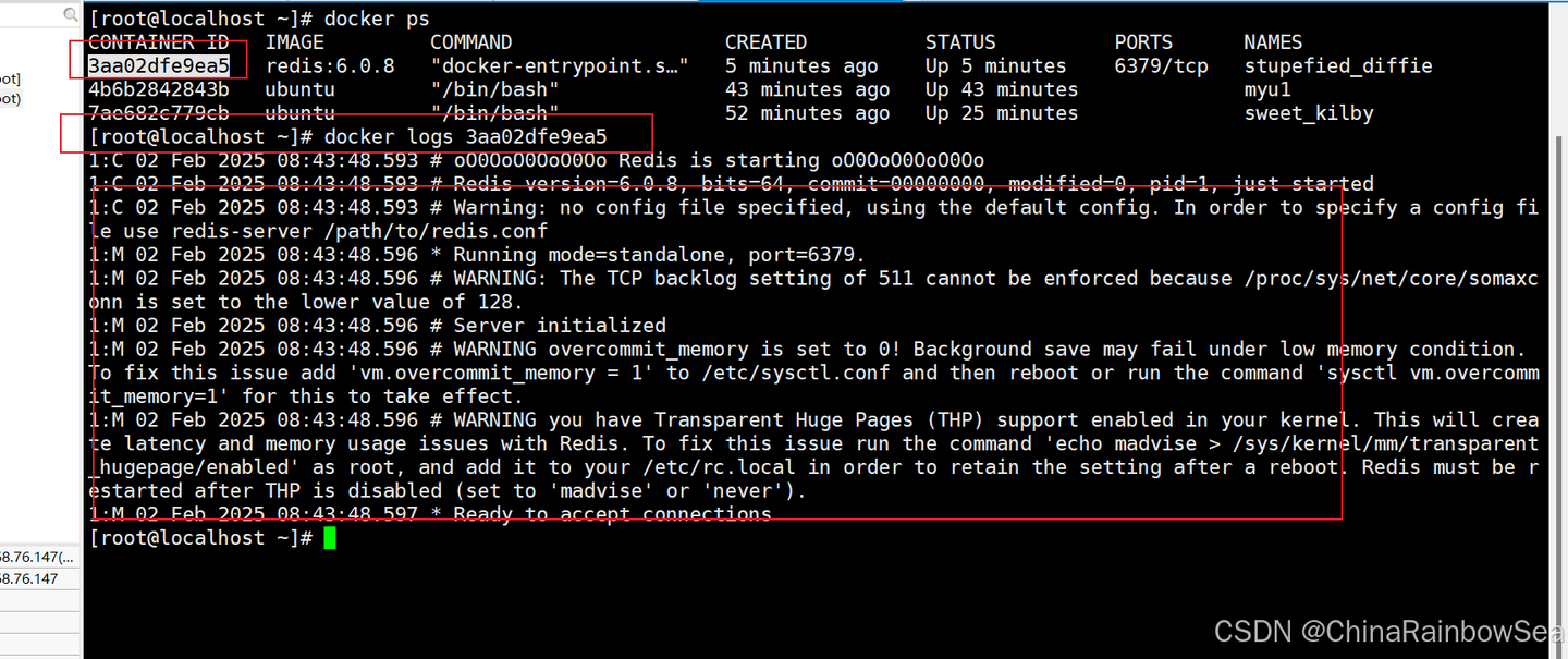 3. Docker 常用命令(详细说明附有截图) - 知乎