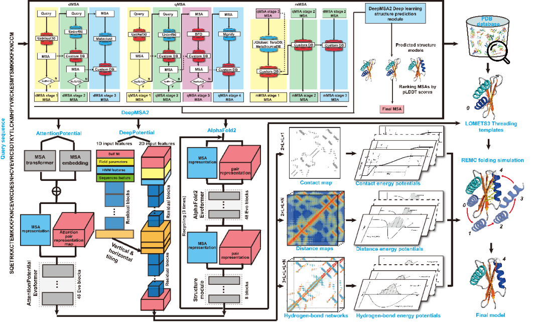 Nat. Biotechnol. | 新一代AI模型D-I-TASSER，实现超越AlphaFold3的结构预测精度 - 知乎