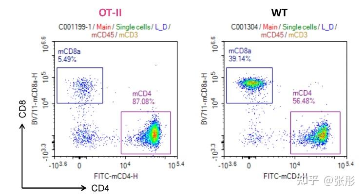 OT2小鼠/OT-II 转基因小鼠资料 - 知乎