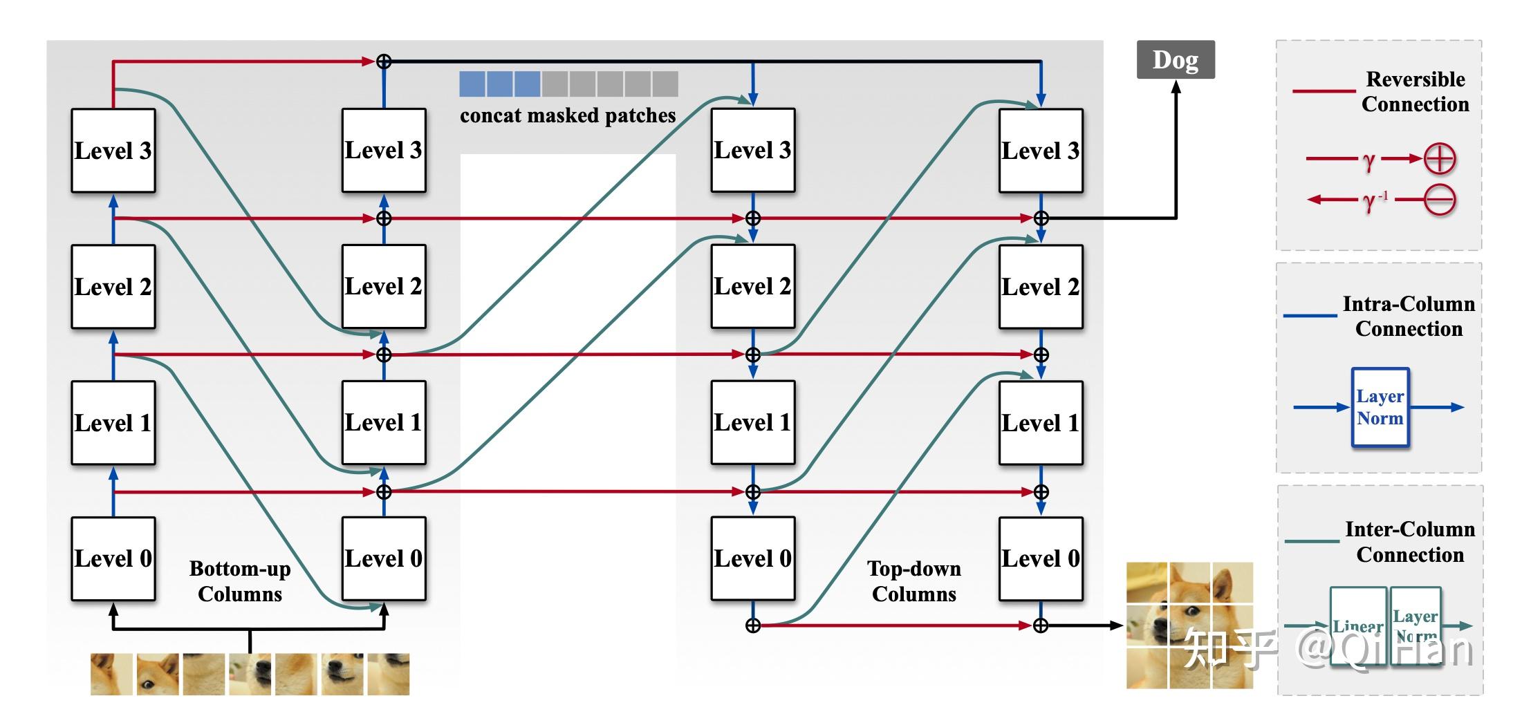 RevCol V2: 当解耦学习遇上自监督训练，视觉预训练的思路 - 知乎