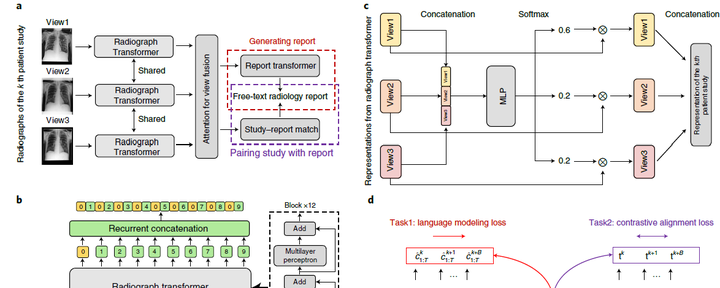 Multimodality in Medical Domain：一文速览医学多模态进展 - 知乎