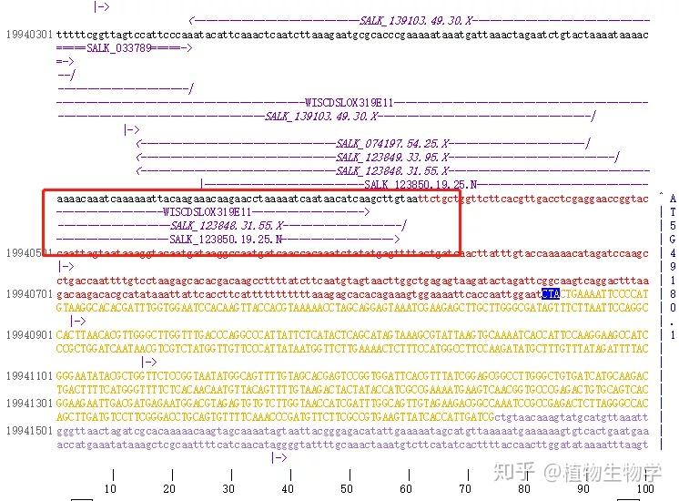 拟南芥种子订购详细攻略-TAIR-ABRC篇 - 知乎