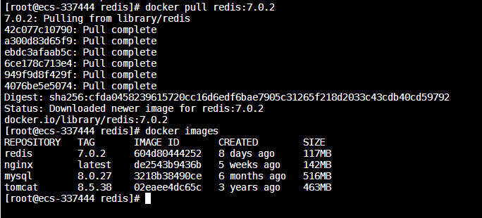 Dcoker实战：Linux环境安装Redis图文教程 - 知乎