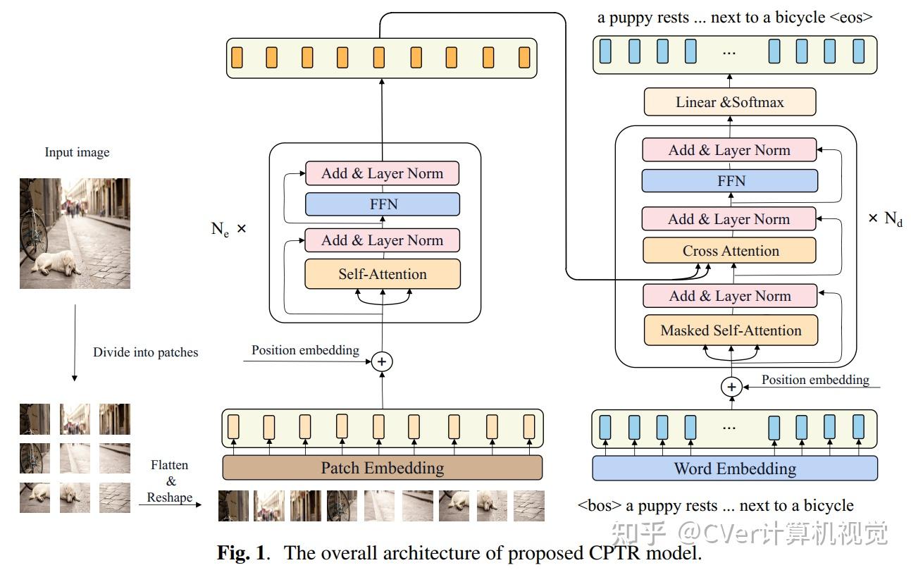 没有卷积！CPTR：用于图像描述的全Transformer网络 - 知乎