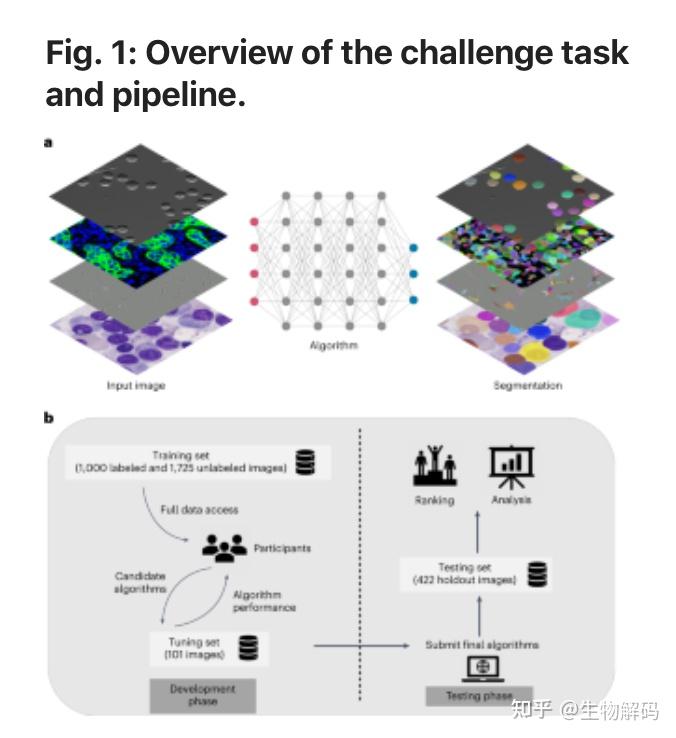 每日文摘 | 2024年03月29日 - 知乎